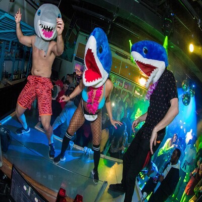 Shark Bar: Night Life Orlando, FL | Live! at the Pointe